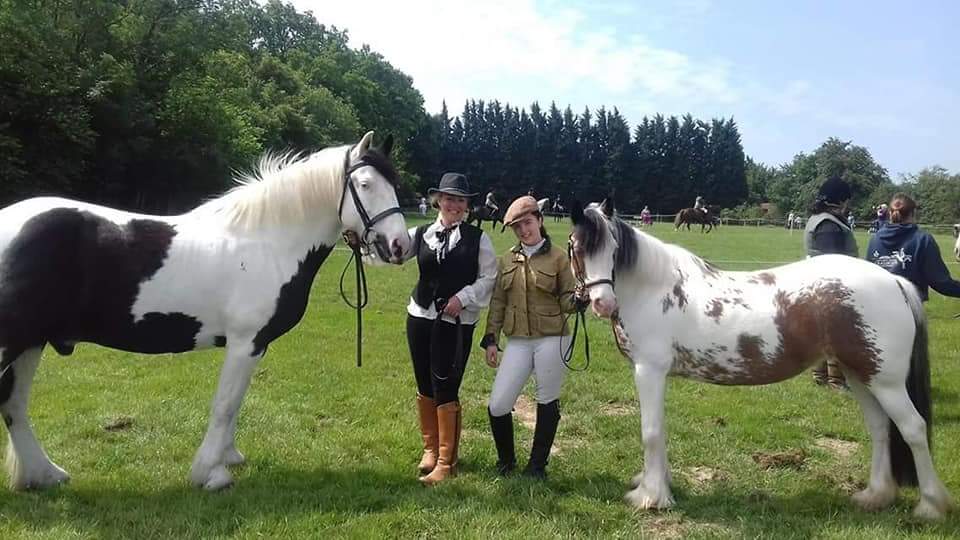 About Us – Moores Gypsy Cobs