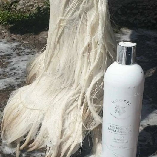 Online Shop – A Touch Moore – Moores Gypsy Cobs