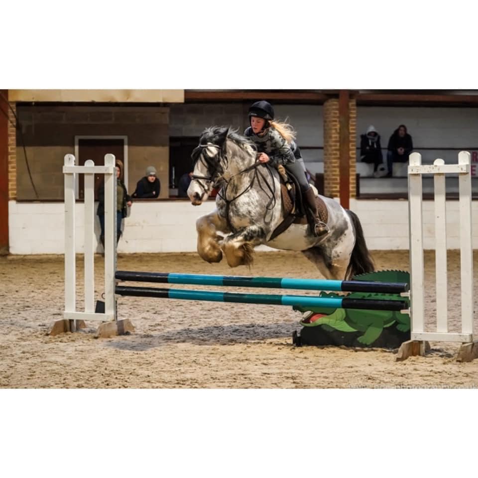 Moores Gypsy Cobs – Equestrian Sales and Services