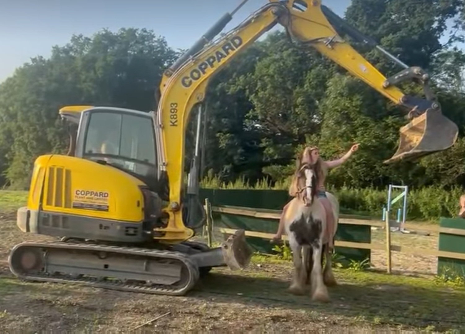 For Sale – Moores Gypsy Cobs